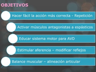 Método de tratamiento Temple Fay - Neurofacilitación | PPTX