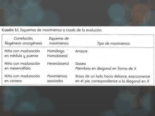 Método de tratamiento Temple Fay - Neurofacilitación | PPTX