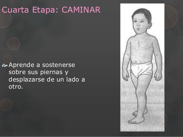 Método de tratamiento Temple Fay - Neurofacilitación