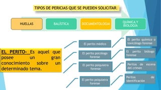 Métodos científicos de investigación en planes de seguridad y pericias ...