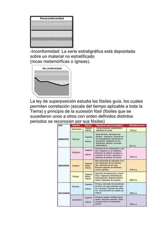 Métodos de datación | DOCX
