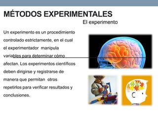 Métodos de investigación del desarrollo infantil.pptx