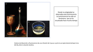Métodos Luminiscentes-1.pptx