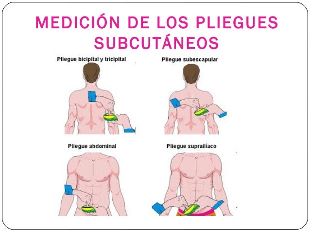 Métodos para el análisis de la composición corporal