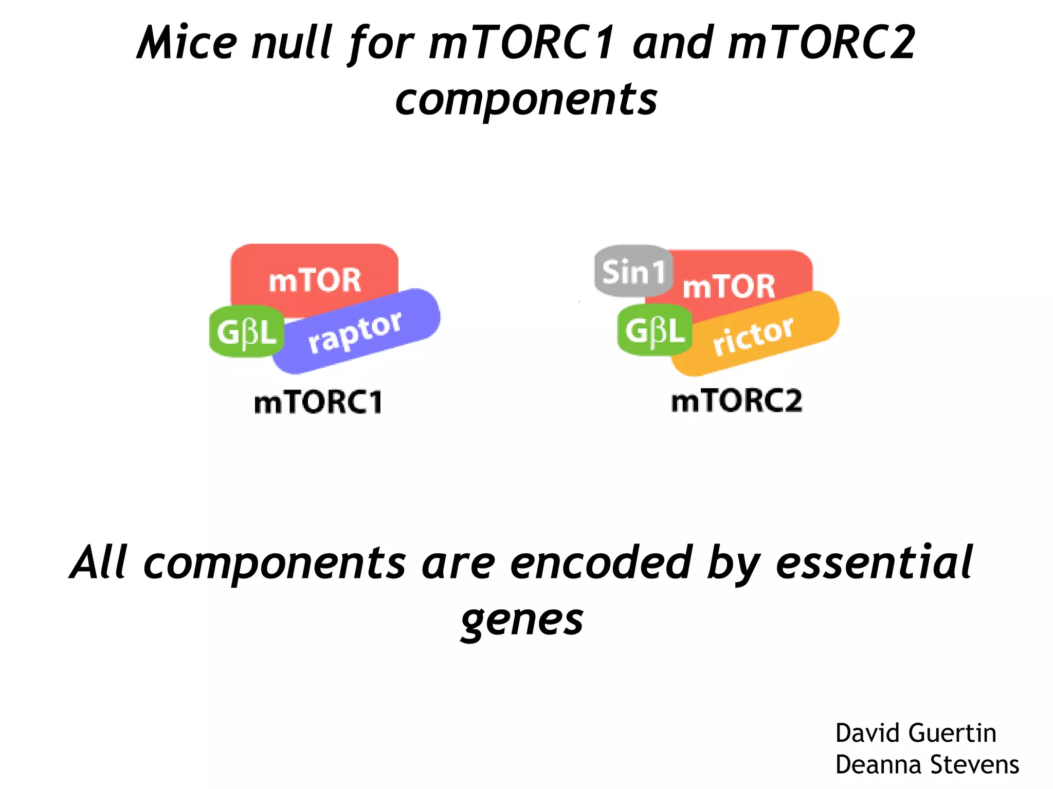 mTOR: growth regulator involved in disease | PPT
