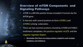 mTORi in Kidney Transplantation | PDF