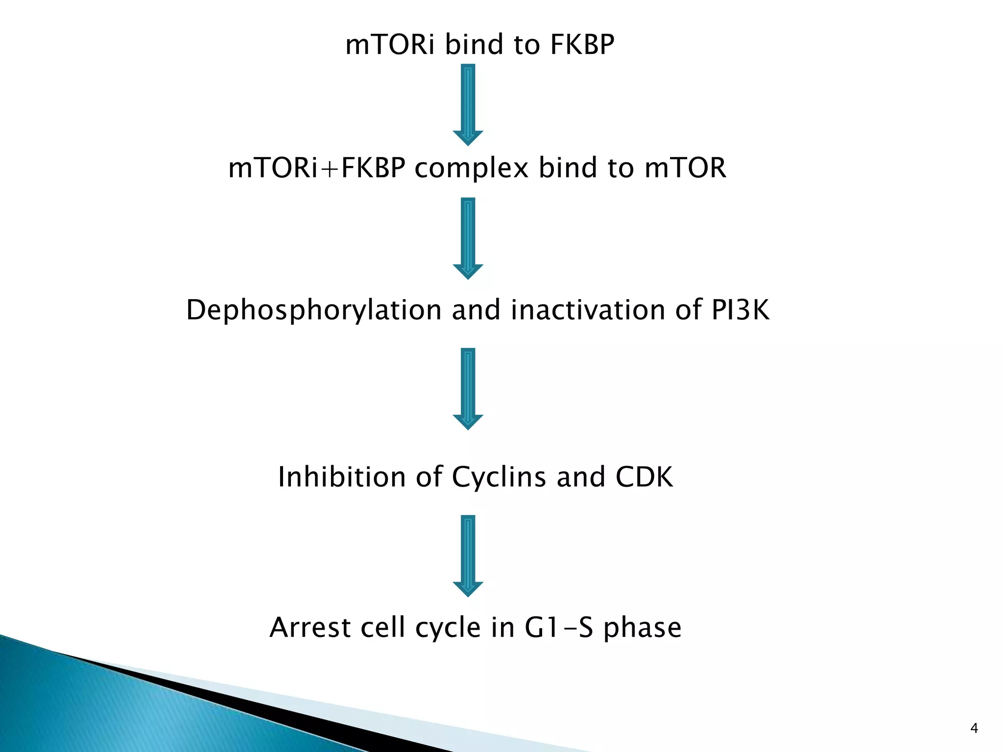 Mtor inhibitors | PPTX