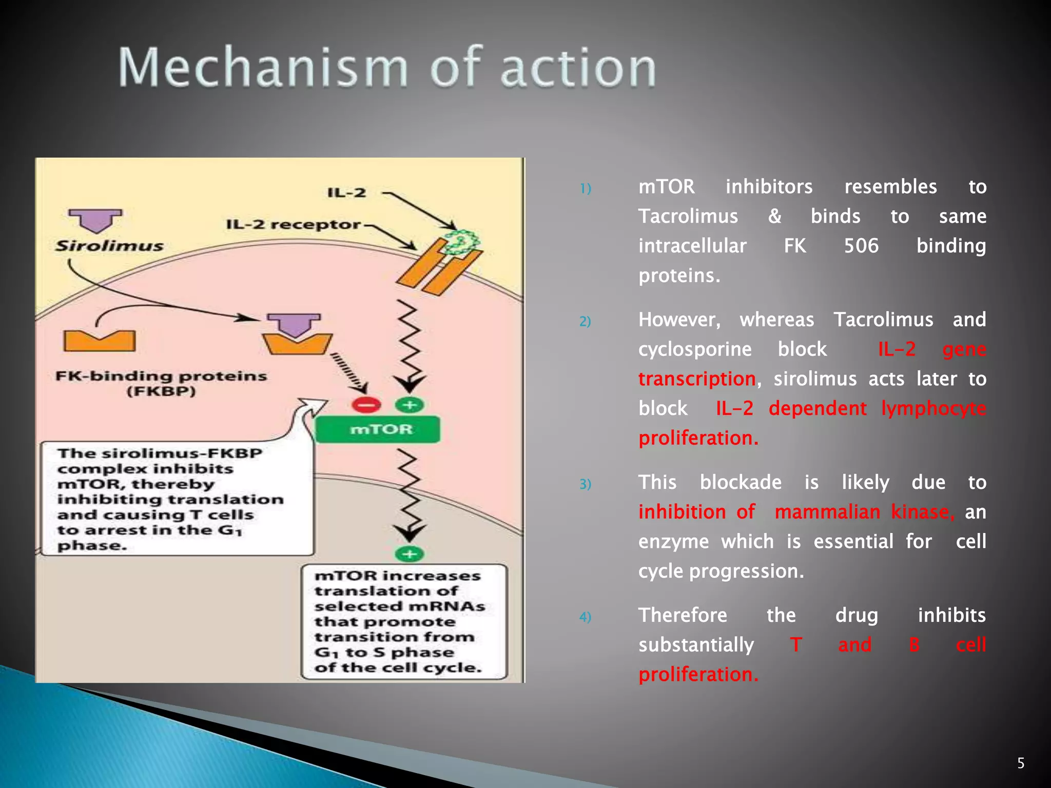 Mtor inhibitors | PPTX