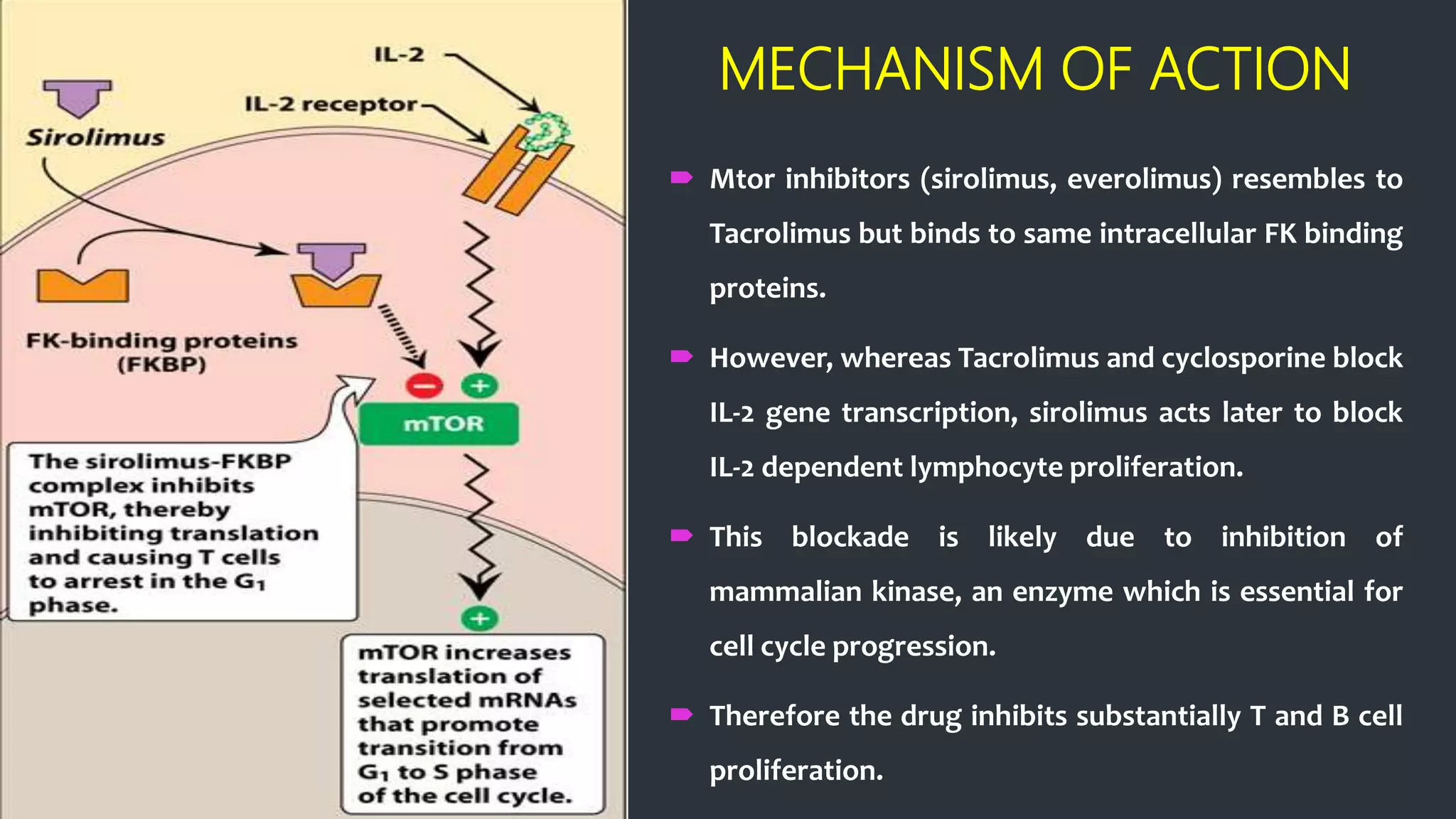 Mtor inhibitors in renal transplant | PPTX