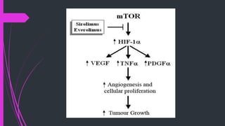 Mtor inhibitors in renal transplant | PPTX