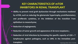 Mtor inhibitors in renal transplant | PPTX