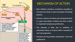 Mtor inhibitors in renal transplant | PPTX | Biological Sciences | Science