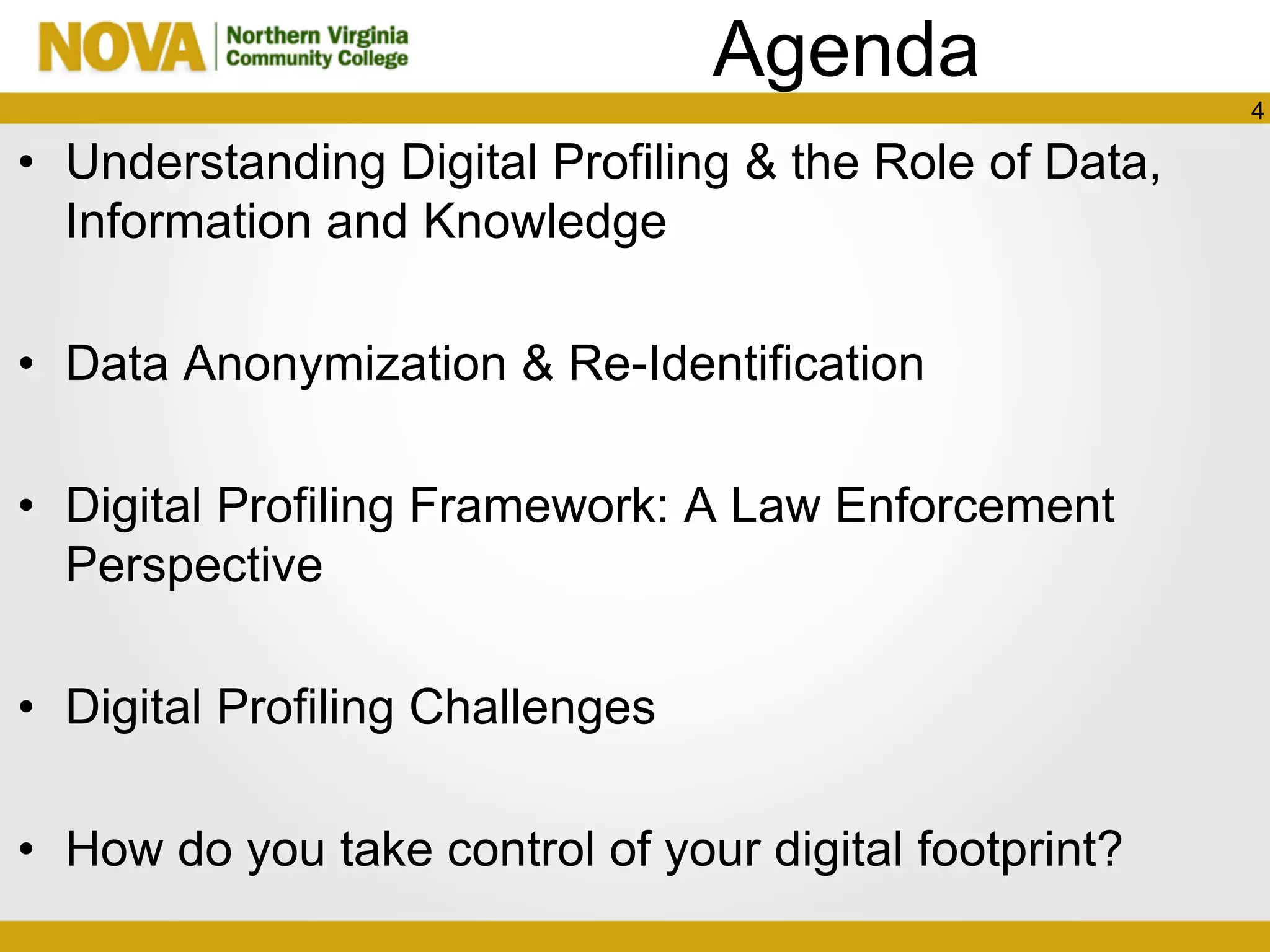 Securing Your Digital Footprint: Idiographic Digital Profiling and the ...