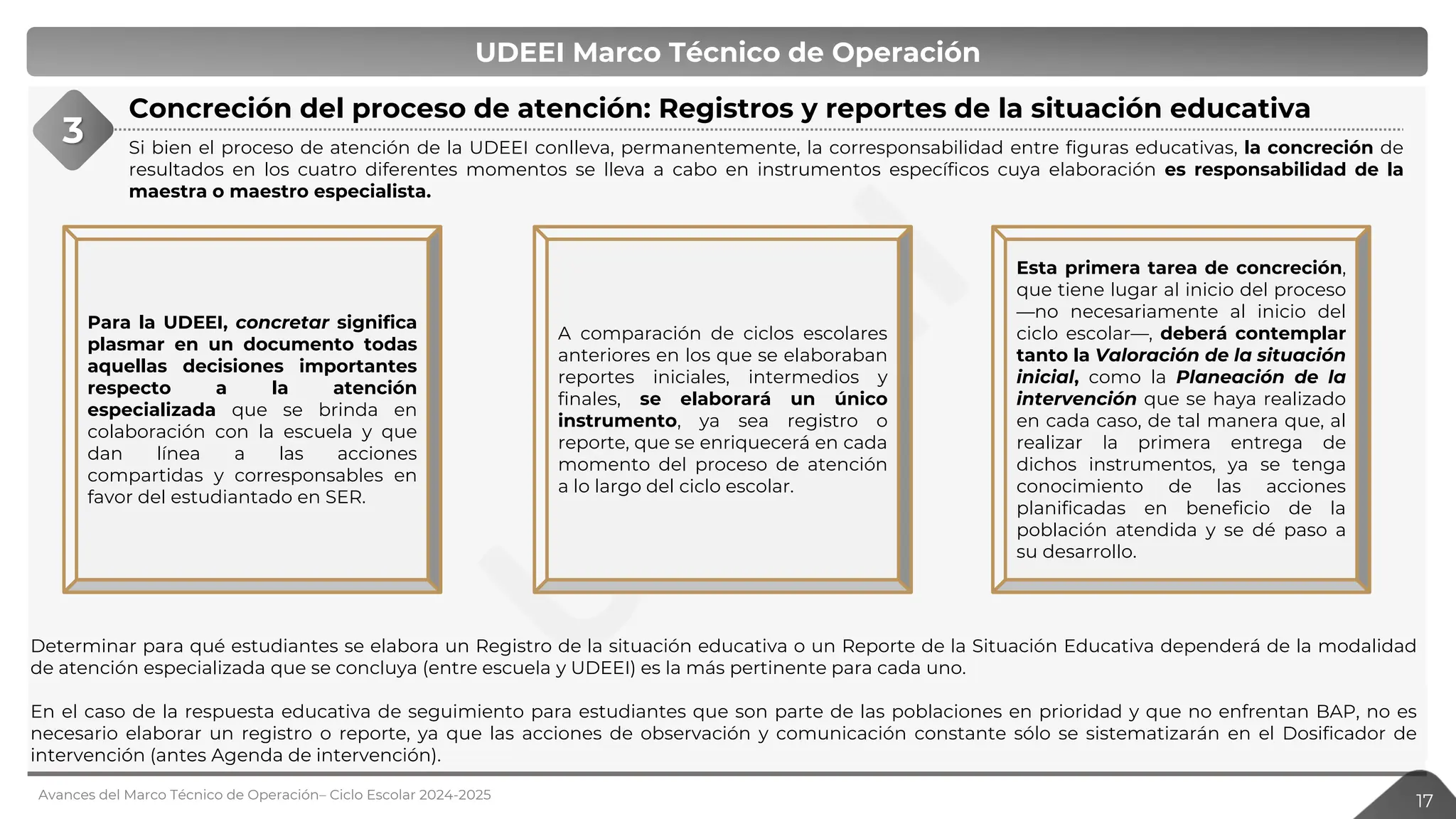 Marco técnico operativo UDEEI 16.agosto.24 vf.pdf