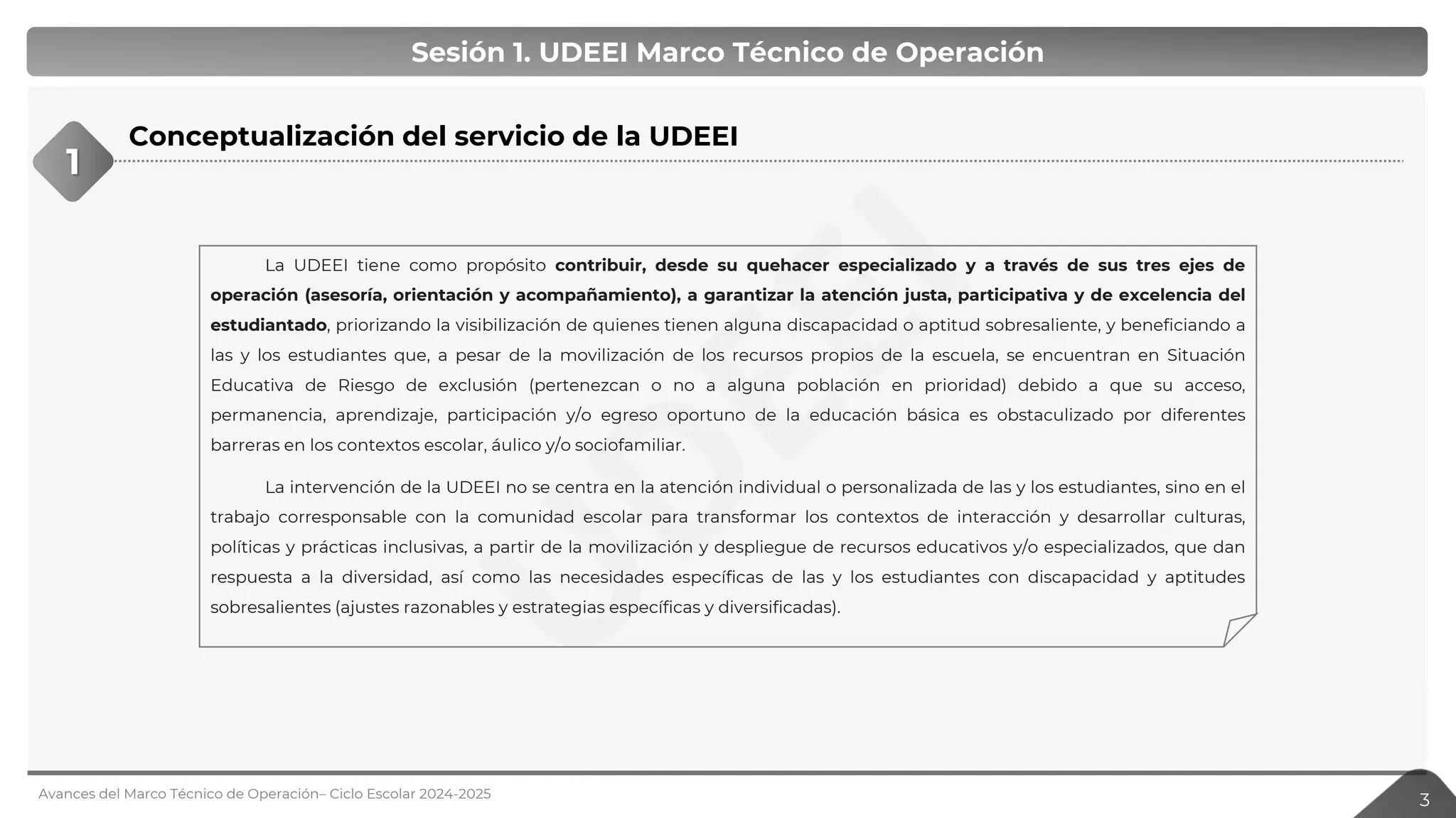 Marco técnico operativo UDEEI 16.agosto.24 vf.pdf