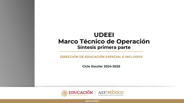 Marco técnico operativo UDEEI 16.agosto.24 vf.pdf | Special Education ...