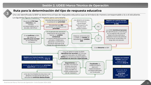 Marco técnico operativo UDEEI 16.agosto.24 vf.pdf | Special Education ...