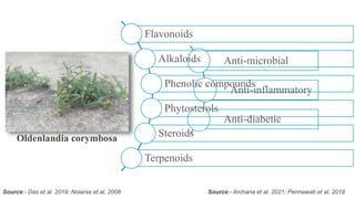 Biogenic synthesis of Silver Nanoparticles fromOldenlandiya Cormybosa ...
