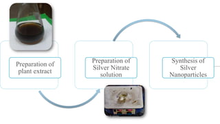 Biogenic synthesis of Silver Nanoparticles fromOldenlandiya Cormybosa ...