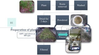 Biogenic synthesis of Silver Nanoparticles fromOldenlandiya Cormybosa ...