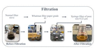 Biogenic synthesis of Silver Nanoparticles fromOldenlandiya Cormybosa ...