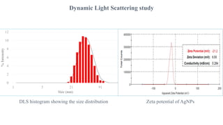 Biogenic synthesis of Silver Nanoparticles fromOldenlandiya Cormybosa ...