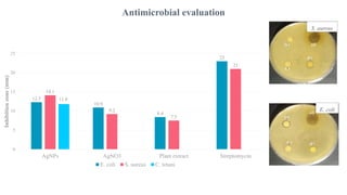 Biogenic synthesis of Silver Nanoparticles fromOldenlandiya Cormybosa ...