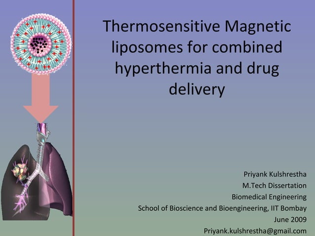 Magnetic nanoliposomes for combined hyperthermia and drug delivery ...