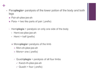 Mt presentation 1 | PPTX