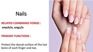 medical terminology by Yosra Raziani | PPT