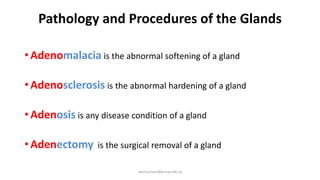 medical terminology by Yosra Raziani | PPT