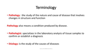 medical terminology by Yosra Raziani | PPT