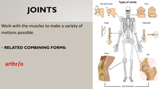 medical terminology by Yosra Raziani | PPT