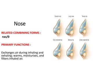 medical terminology by Yosra Raziani | PPT
