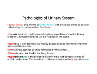 medical terminology by Yosra Raziani | PDF