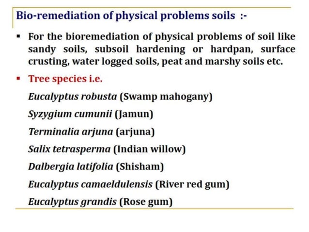MTs for Problem Soils | PPTX