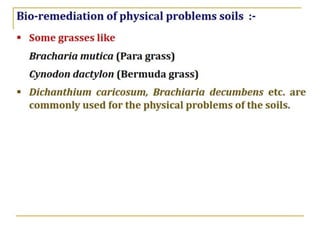 MTs for Problem Soils | PPTX