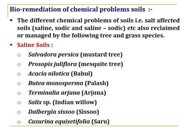MTs for Problem Soils | PPTX