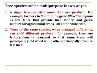 MTs for Problem Soils | PPTX