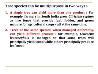 Multipurpose Trees for Bio-remediation | PDF