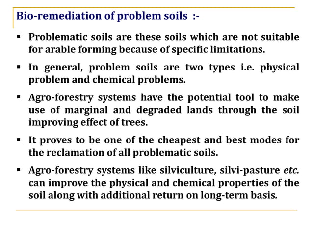 Multipurpose Trees for Bio-remediation | PDF | Agriculture | Industries