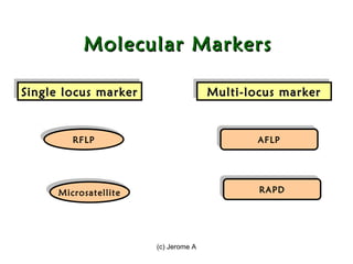 Molecular tools in reproductive research | PPT