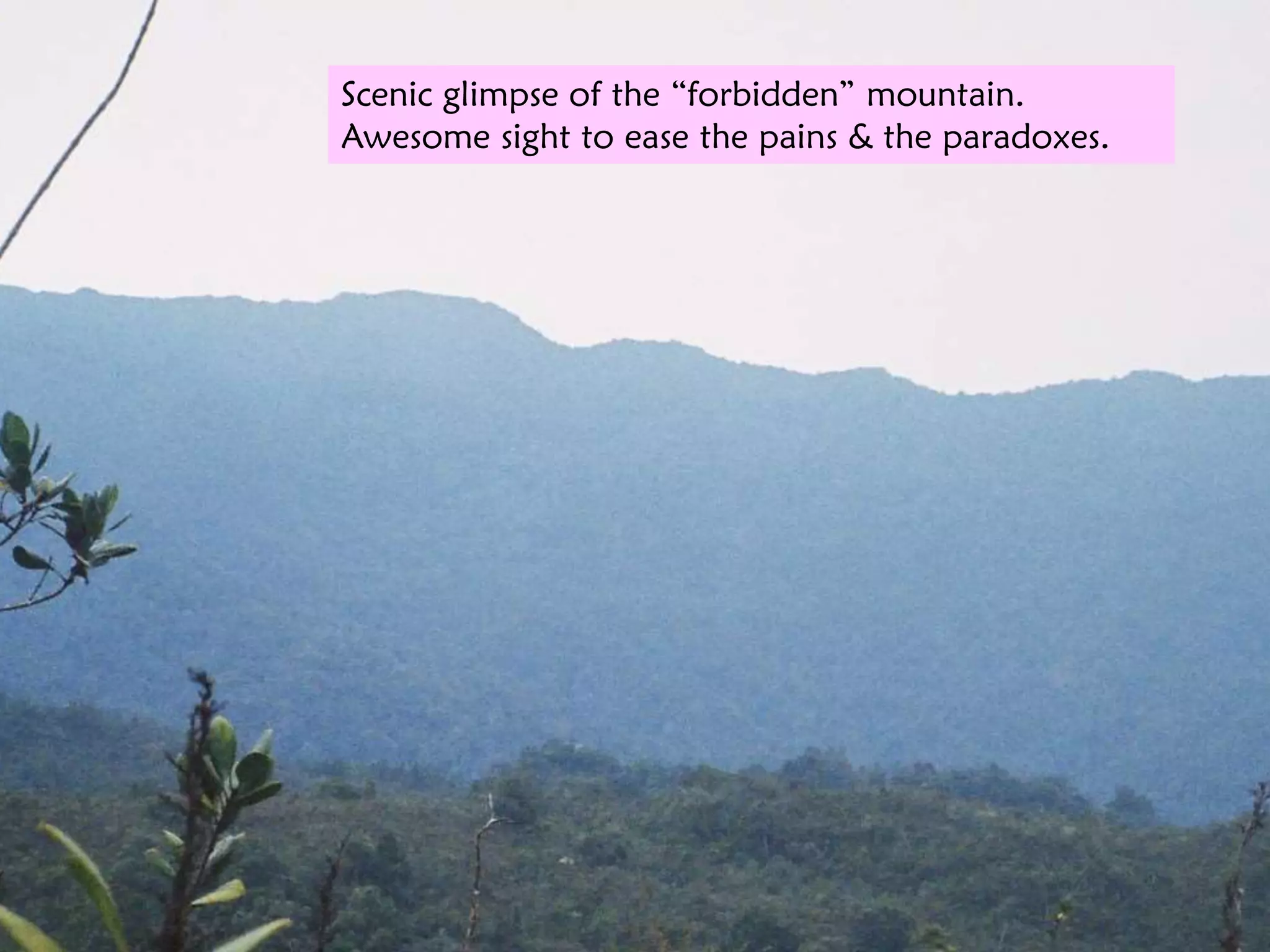 Bonding at Mt Tahan, West Malaysia's highest peak | PPTX