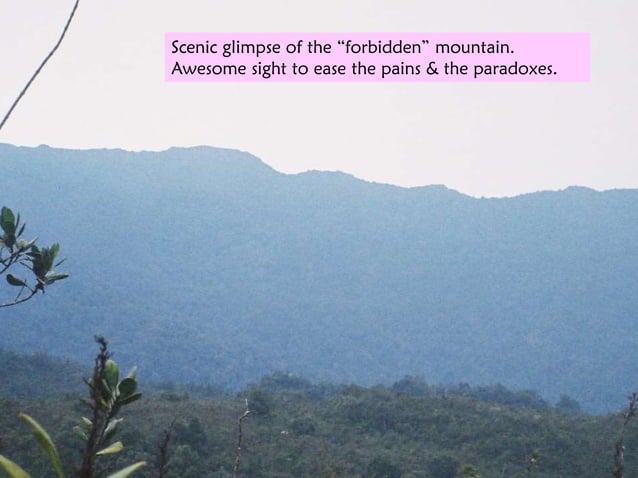 Bonding at Mt Tahan, West Malaysia's highest peak | PPT