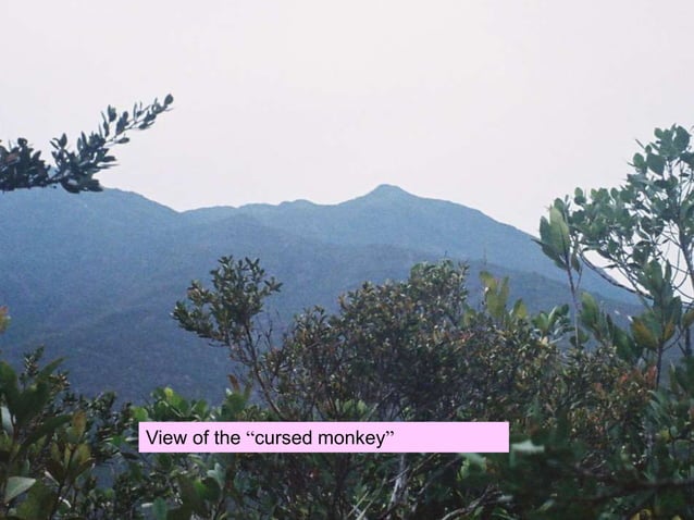 Bonding at Mt Tahan, West Malaysia's highest peak | PPT