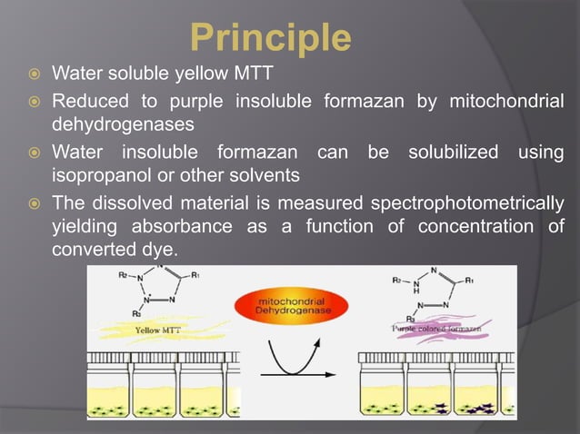 Mtt Assay for cell viability | PPTX | Chemistry | Science