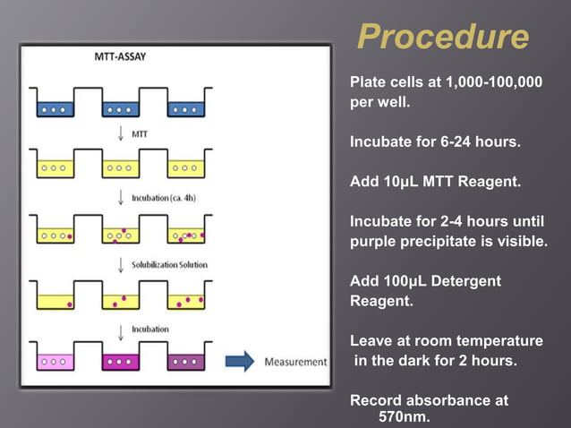 Mtt Assay for cell viability | PPTX | Chemistry | Science