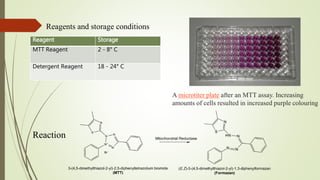 MTT cell proliferation assay | PPTX