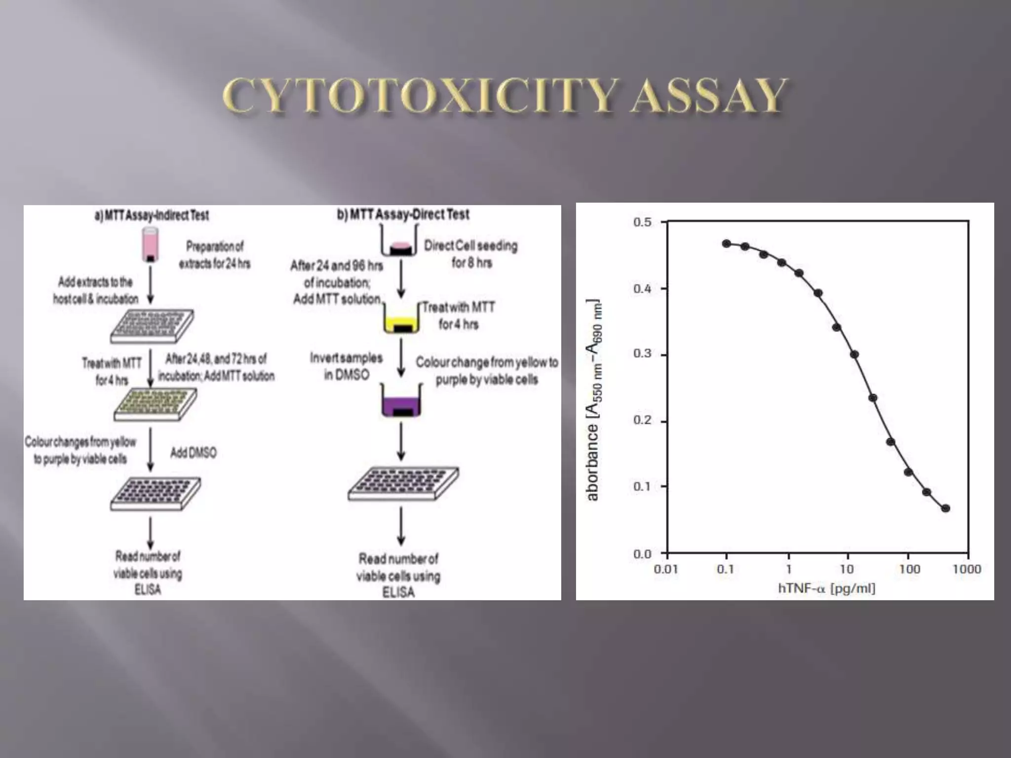 PRINCIPLES AND APPLICATIONS OF CELL VIABILITY ASSAY (MTT ASSAY) | PPTX