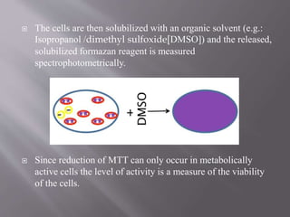PRINCIPLES AND APPLICATIONS OF CELL VIABILITY ASSAY (MTT ASSAY) | PPTX